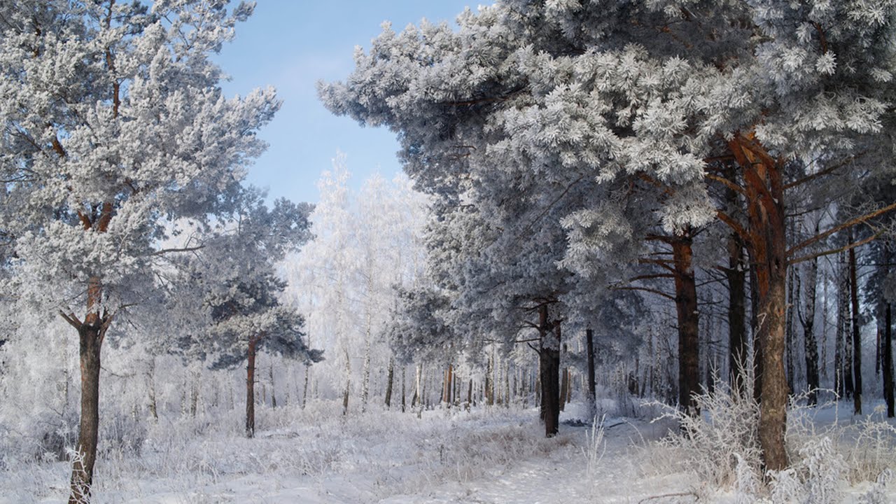 Relaxing Beautiful Music, Peaceful Instrumental Music, "Winter's Calm ...