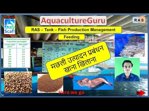 AquacultureGuru - RAS - Fish Production Management - "Feeding" #ras ...