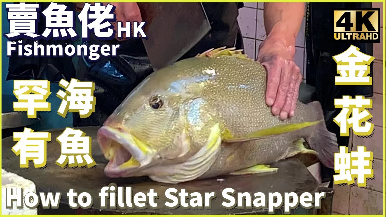 金花蚌 海母雞 罕有海魚/How to Fillet Star Snapper Fishmonger HK/巨大きな魚/漁民海鮮/西環魚王 ...