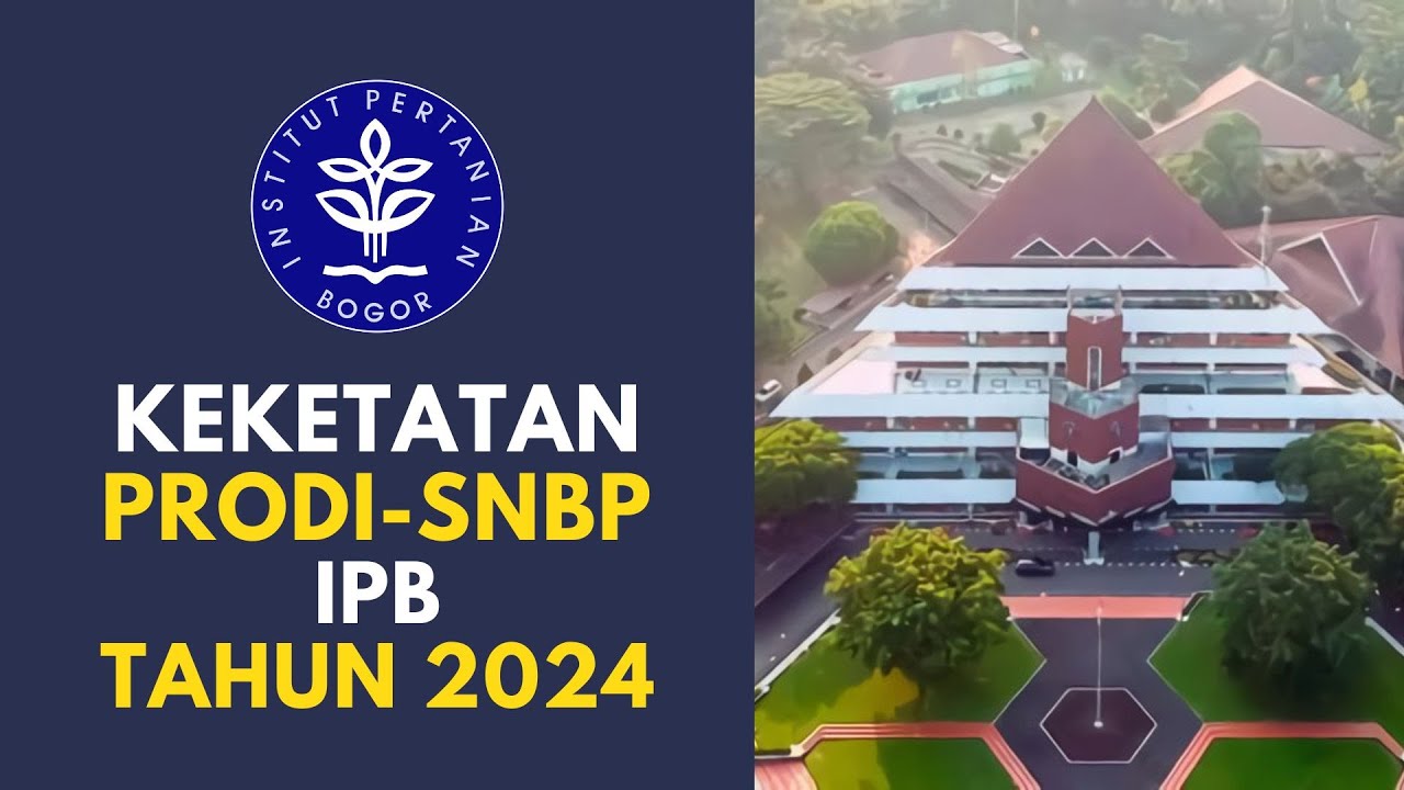 KEKETATAN PRODI SNBP IPB TAHUN 2024 - YouTube