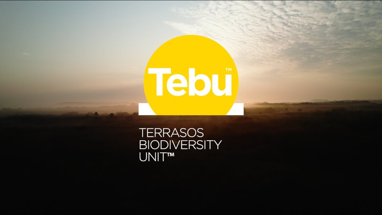 Unidades de Biodiversidad de Terrasos (Tebu) - YouTube