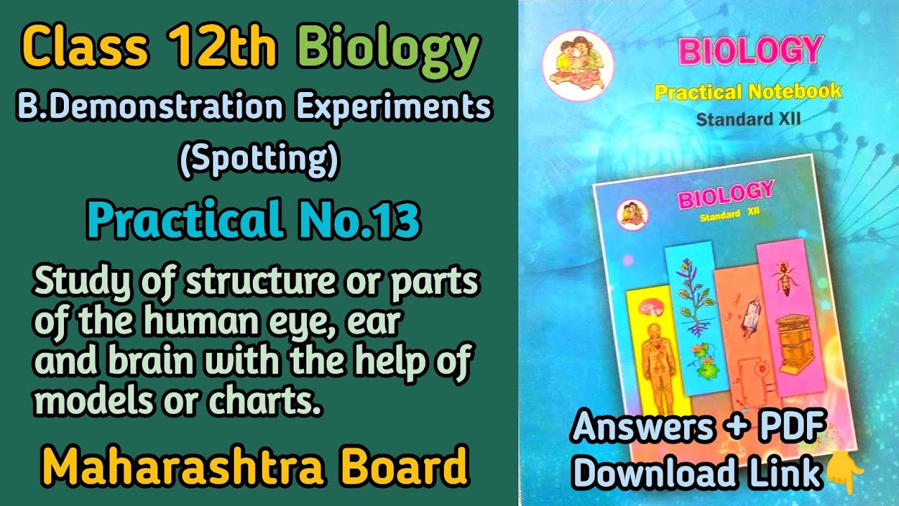 12th Biology Practical No.13 (Spotting): Study of structure or parts of human eye... | MH Board ...