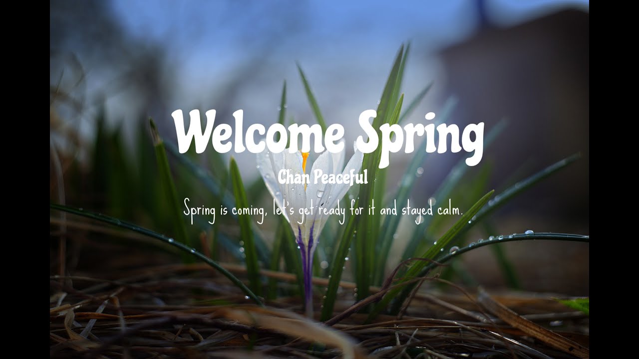 Welcome Spring with Calm Music | Chan Peaceful - YouTube