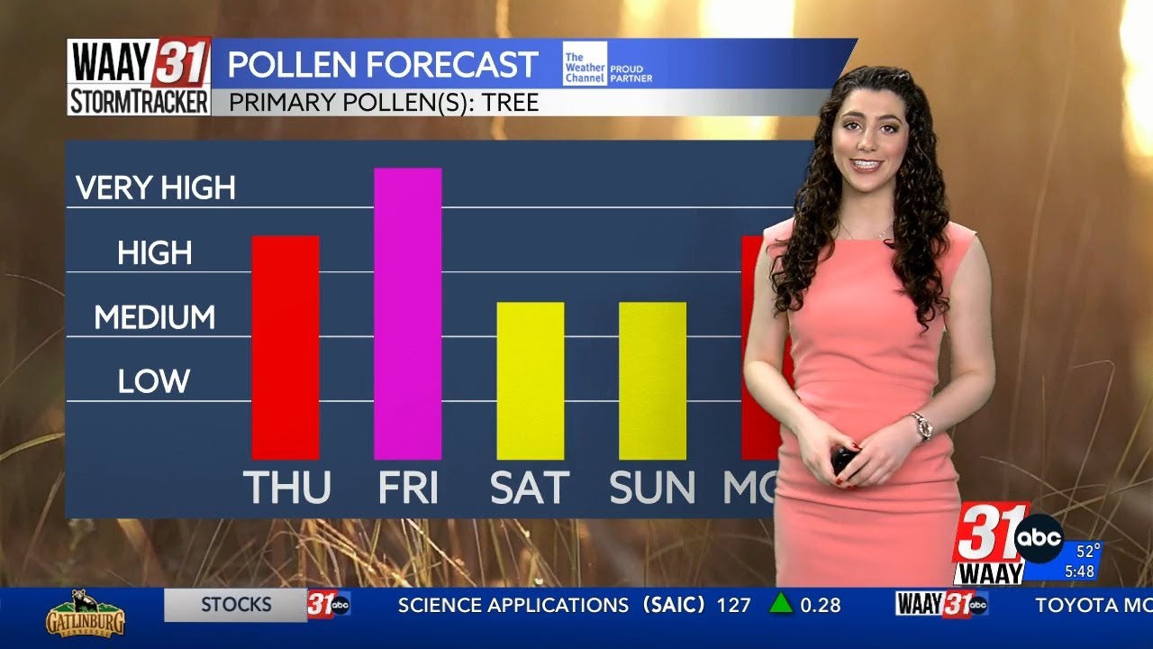 Latest pollen update with Morning Meteorologist Grace Anello - YouTube