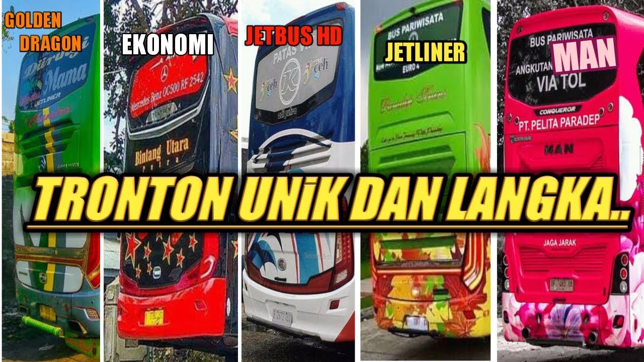 BUS CHASIS TRONTON YANG JARANG DIMILIKI OLEH PO INDONESIA - YouTube