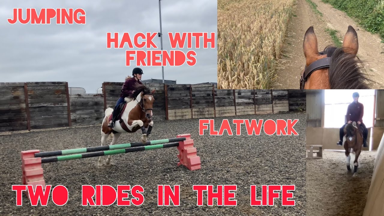 DAY IN THE LIFE | Different Rides! Lily And Chilli - YouTube