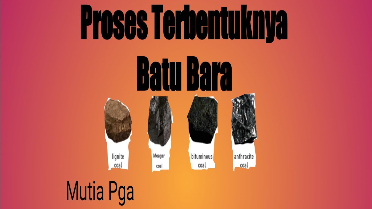 Proses Terbentuknya Batu Bara #geology #geography - YouTube