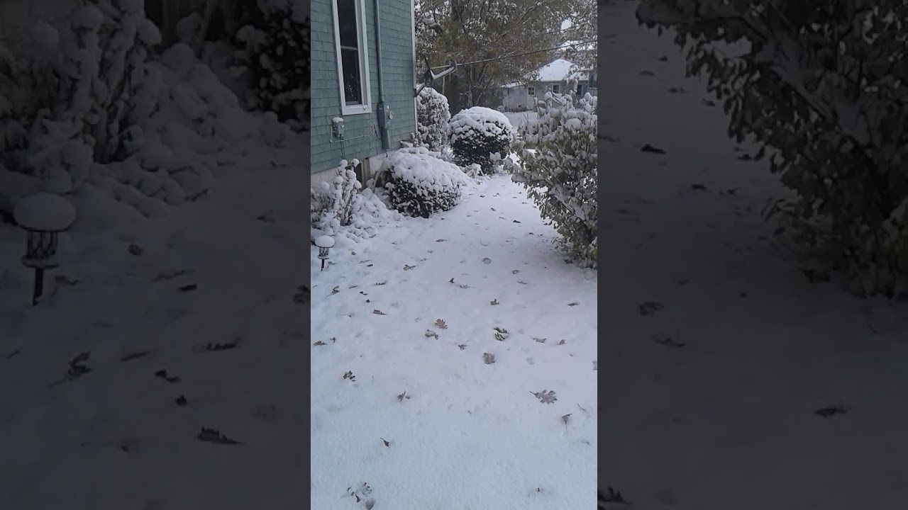 Snow in elgin, IL on holloween! - YouTube