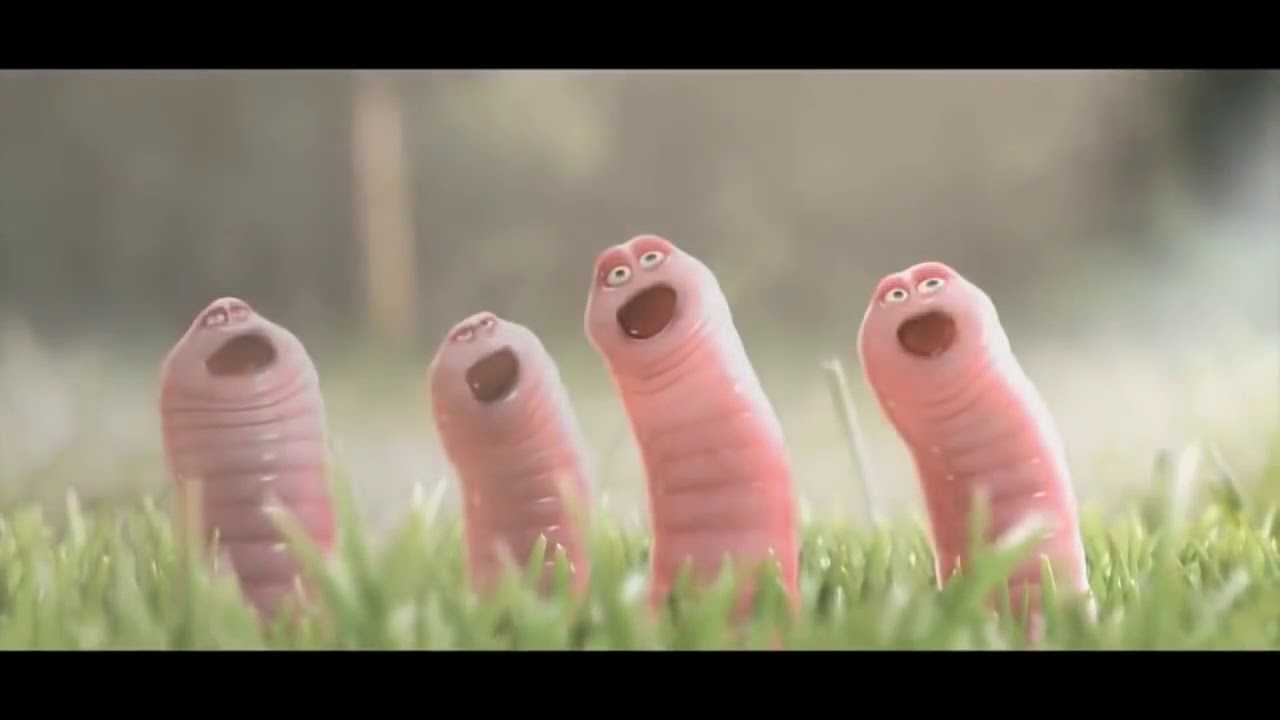 Cartoon about worms funny short film - YouTube