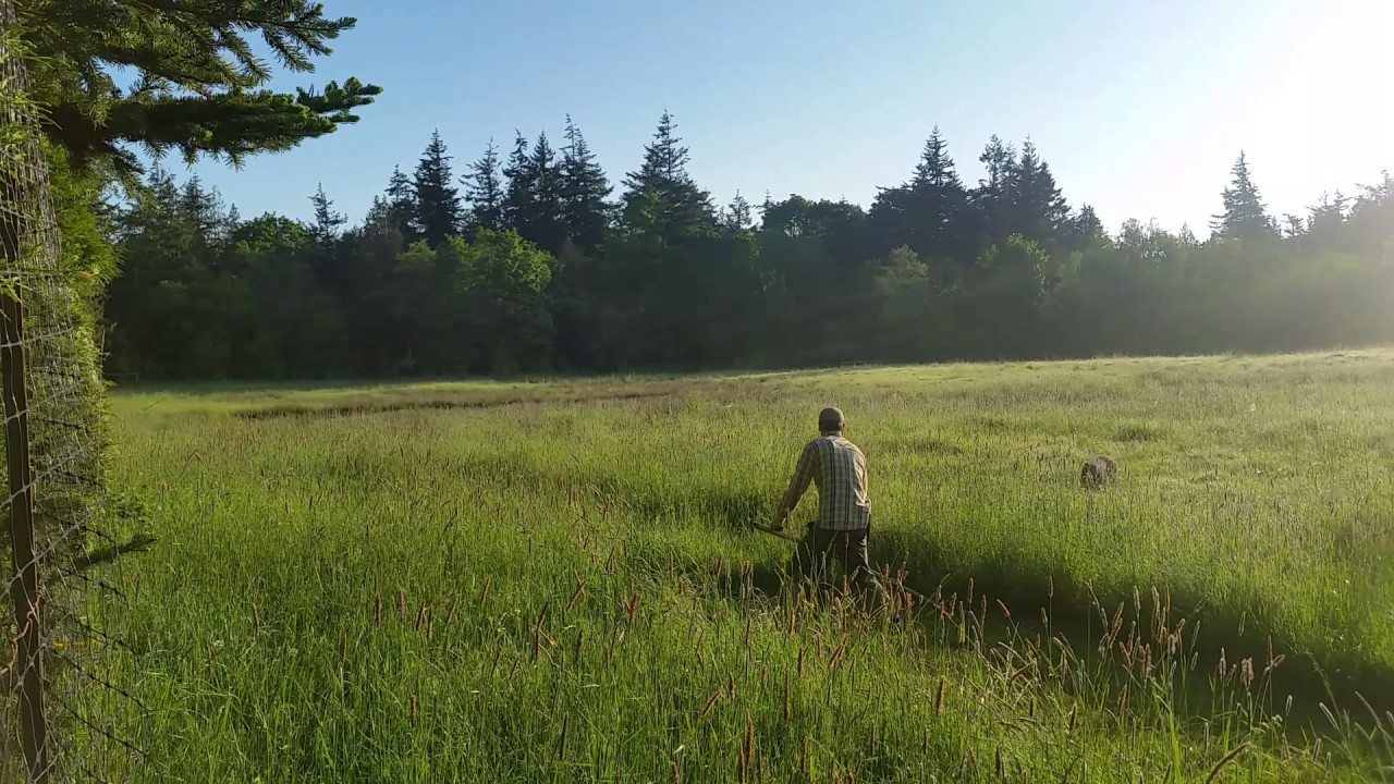 Scythe mowing a path to the creek. - YouTube