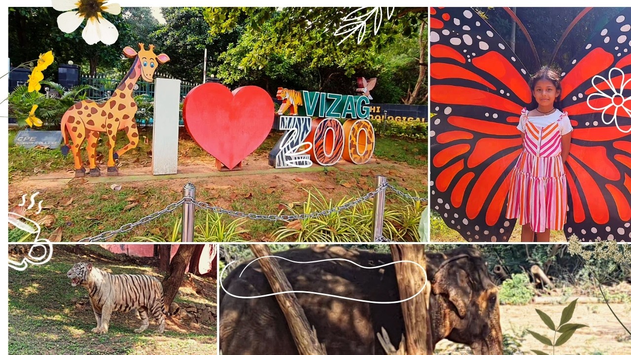 Zoo park Vizag | Zoo park | Visakhapatnam | ⁠Vizag zoo park | Indira ...