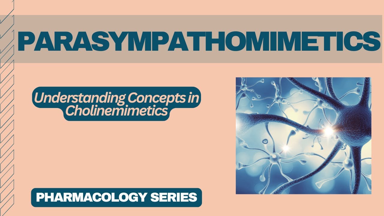 Parasympathomimetics - Cholinomimetics | Pharmacology Lecture Series ...
