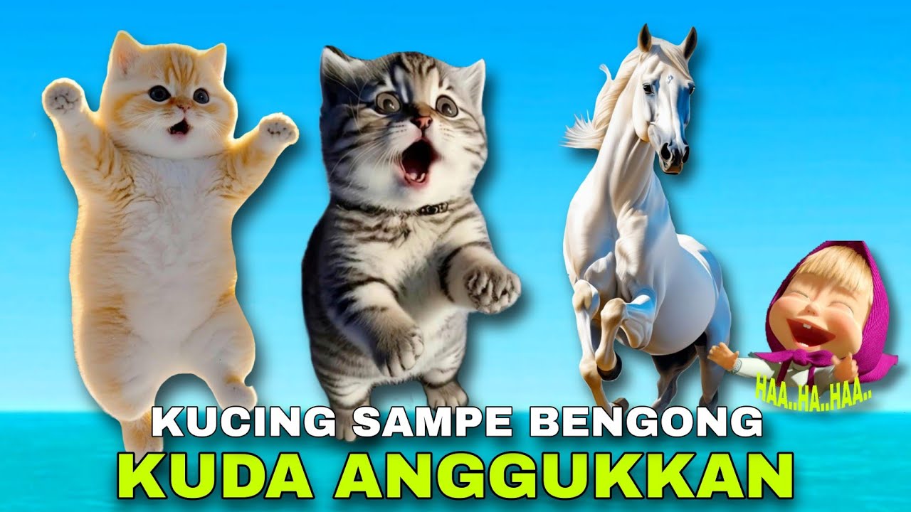 KUCING OYEN BENGONG | KUDA DANCE | DJ KUCING MEONG-MEONG | CUTE KITTEN ...