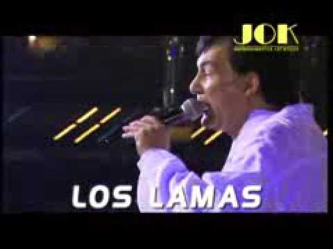 Los Lamas lo mejor de la cumbia santafesina - YouTube