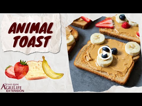 Animal Toast - YouTube