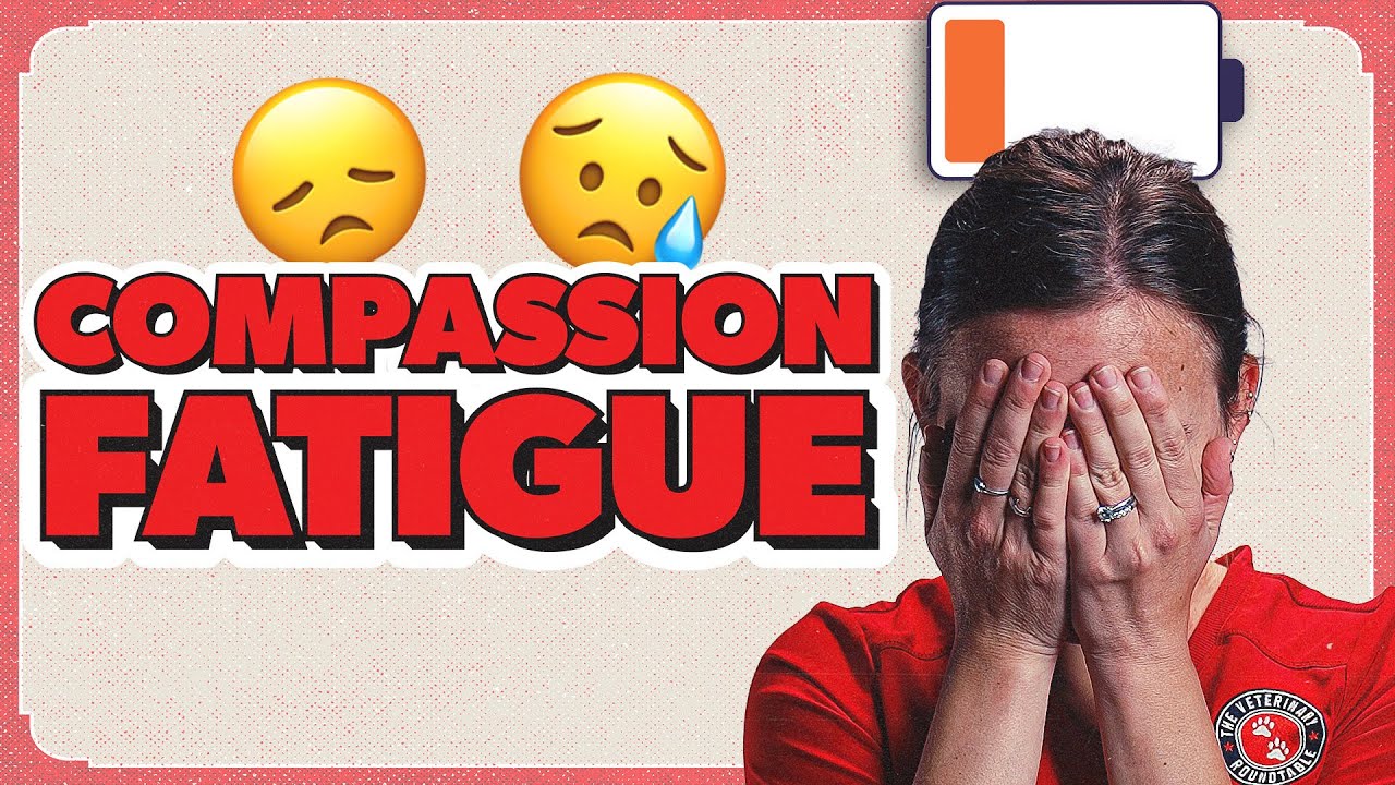 Tackling Compassion Fatigue In Vet Med | The Veterinary Roundtable ...