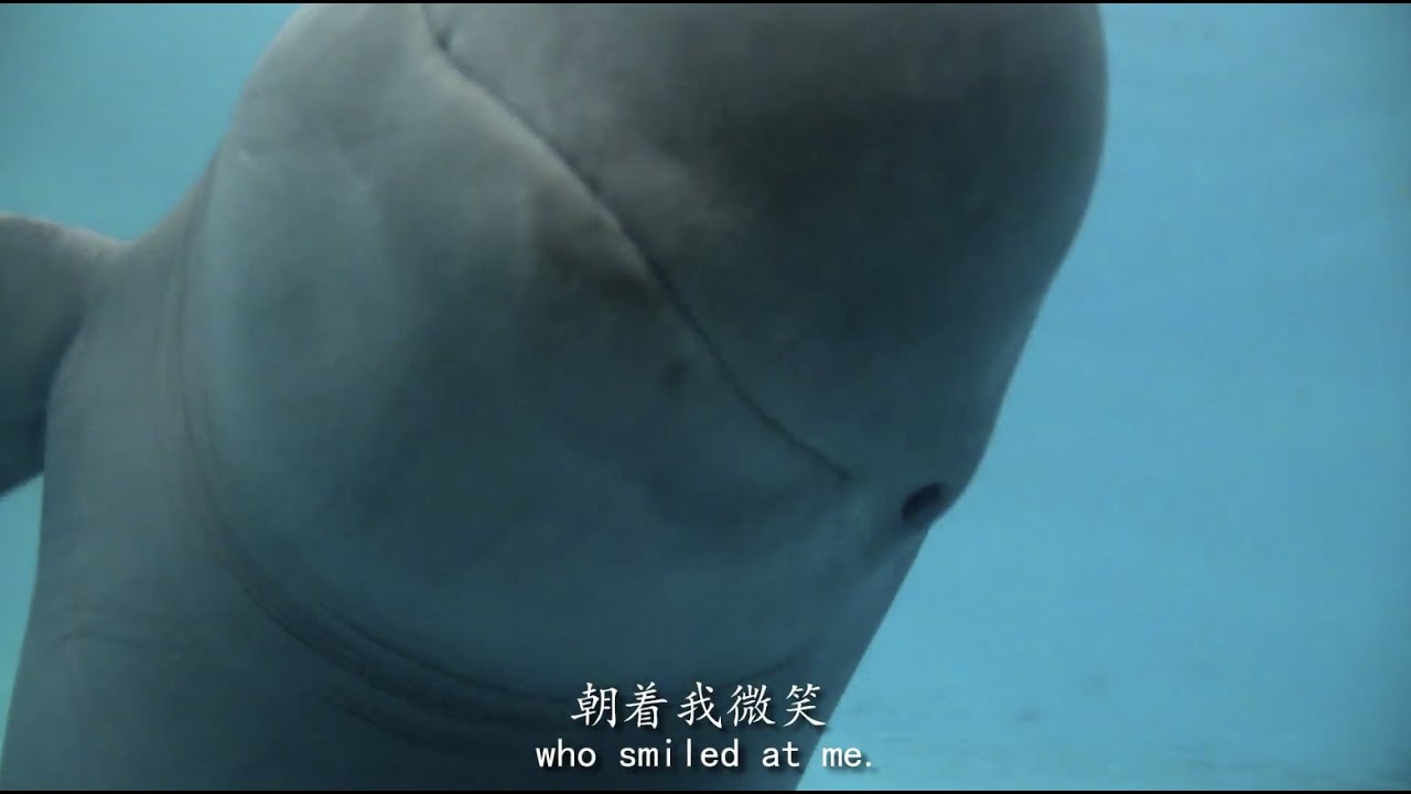 Wu Jun, Feng Lingyan, Wang Wei, Yu Jianfeng - YOUR SMILE AT MY FIRST ...