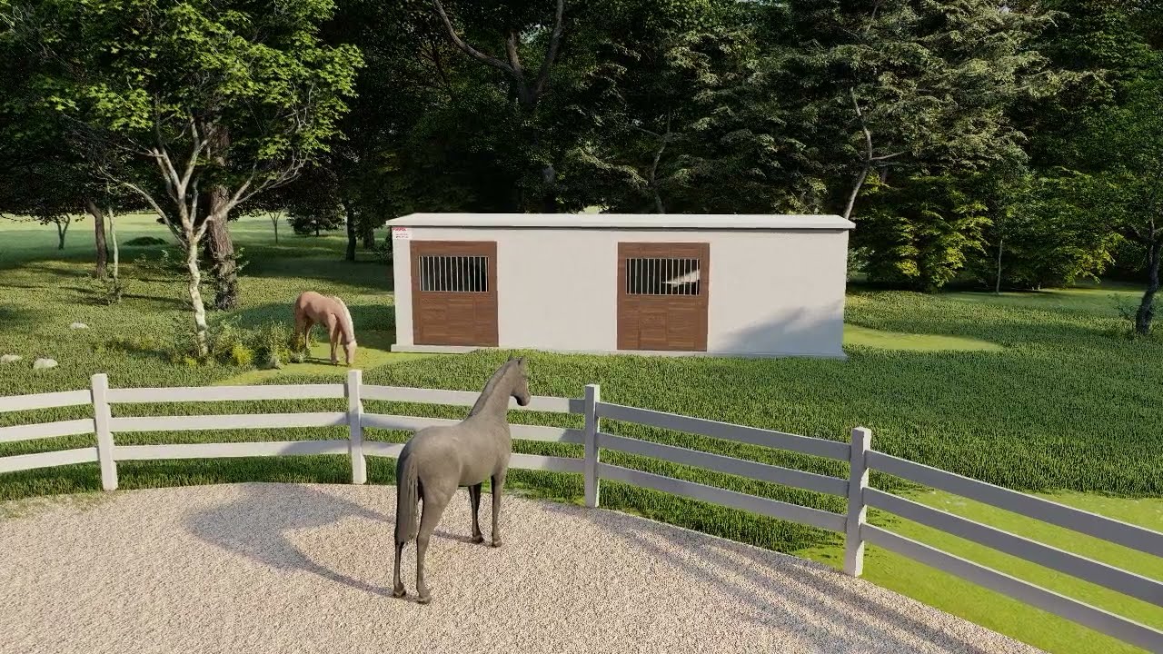 BOXES PARA CABALLOS - YouTube