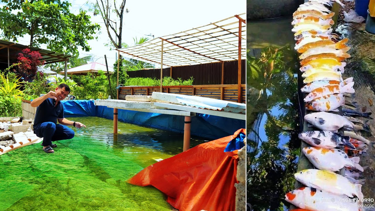 Our *FISH TANK* Has been destroyed!! Pond Disaster!! - YouTube