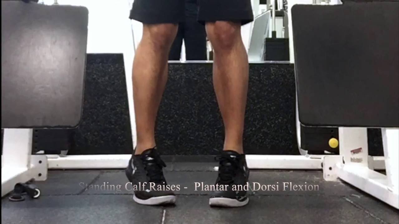 Ankle stability exercises (Dorsiflexion and Plantarflexion). - YouTube