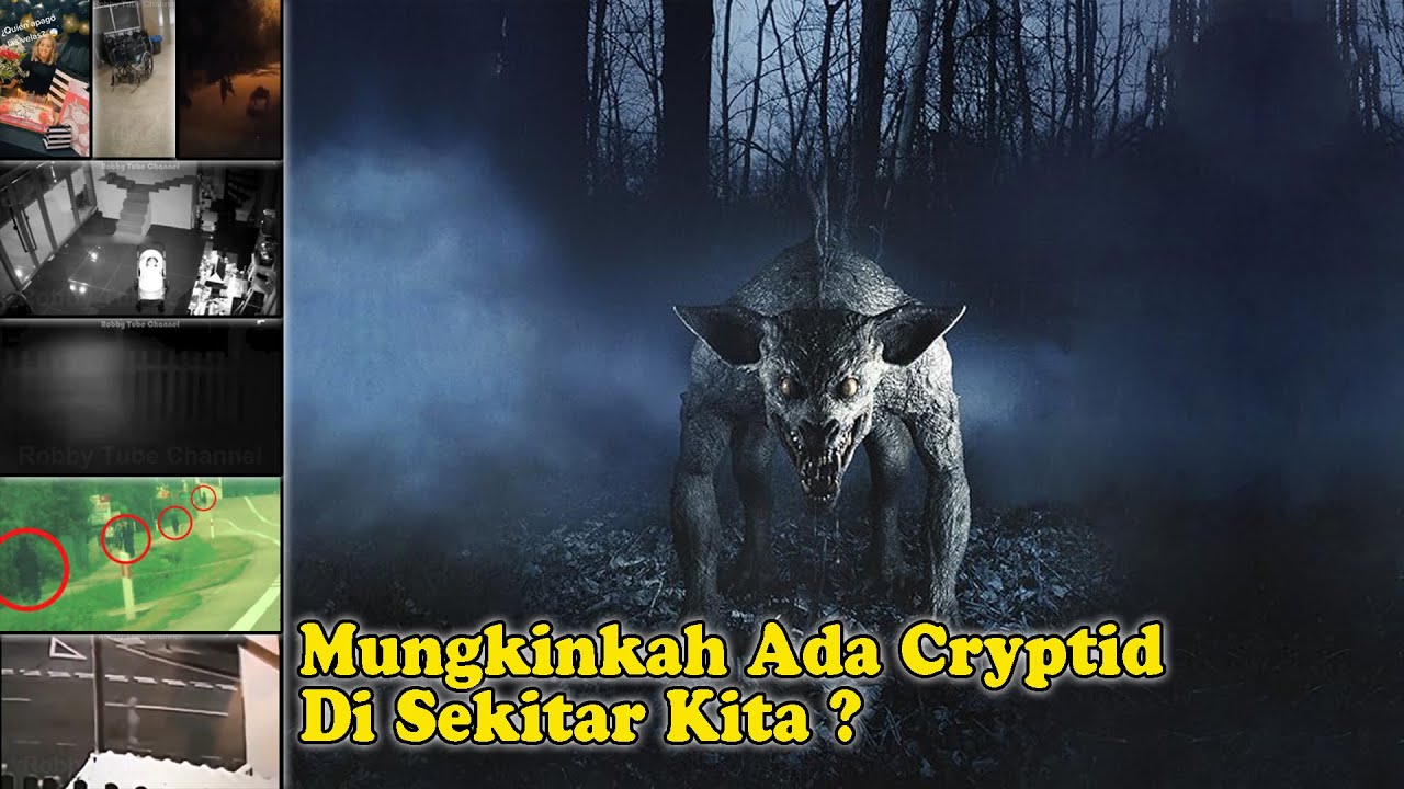 Mahluk Aneh ini Terekam CCTV, Cryptid Jenis Baru ??? - YouTube