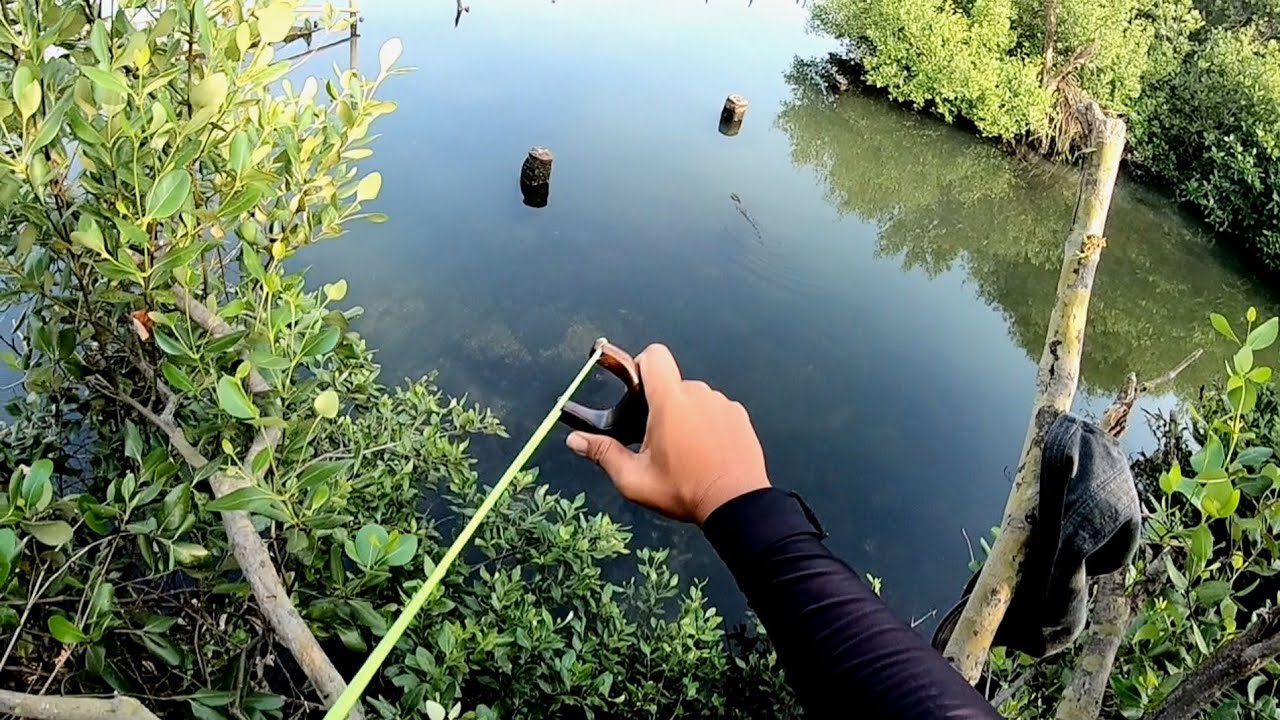 Ngeselin..!! Lagi Asik Nyelepet ikan Cemong Yg Dateng Malah Kadal Burik ...