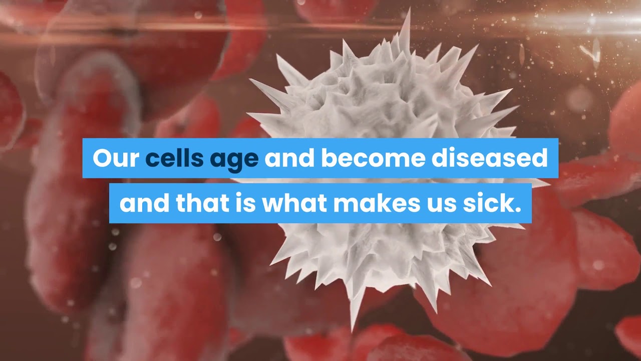 Why do we get sick??? - YouTube