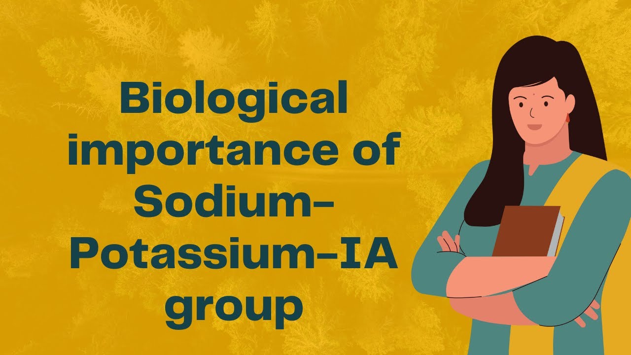 Biological importance of Sodium Potassium IA group | Intermediate ...