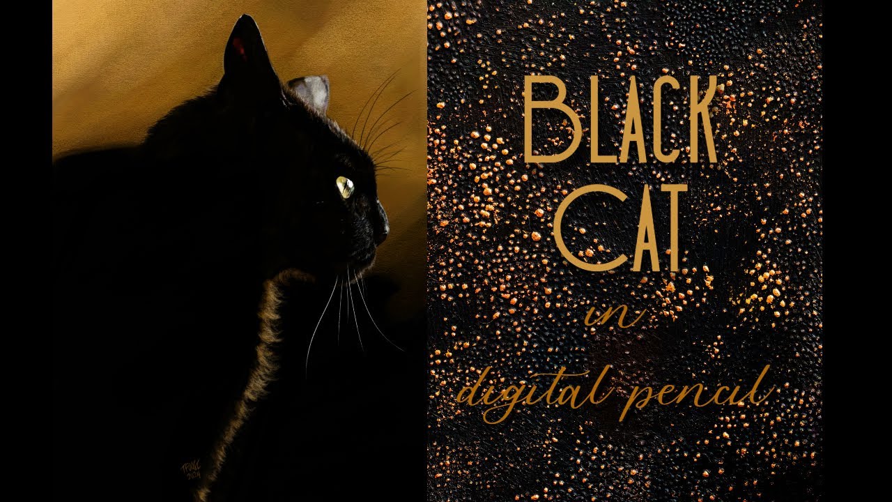Realistic Black Cat in Digital Pencil / Digital painting / Speed ...