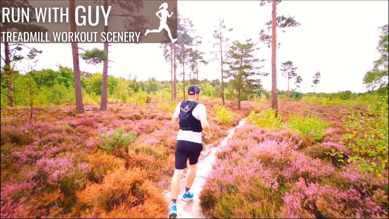 Treadmill Workout Scenery | Run with Guy | Virtual Run / Walk ASMR ...
