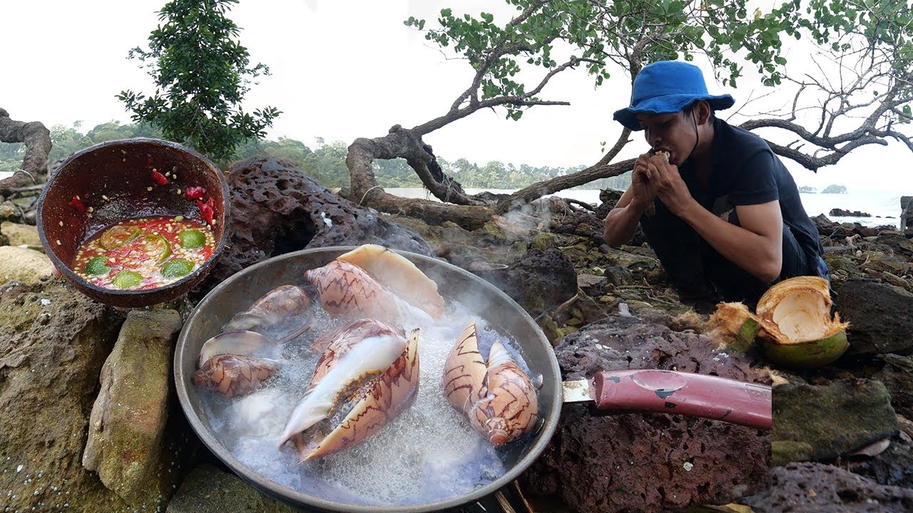 Survival found Sea Snails on Island - Sea Food Cooking with Coconut ...