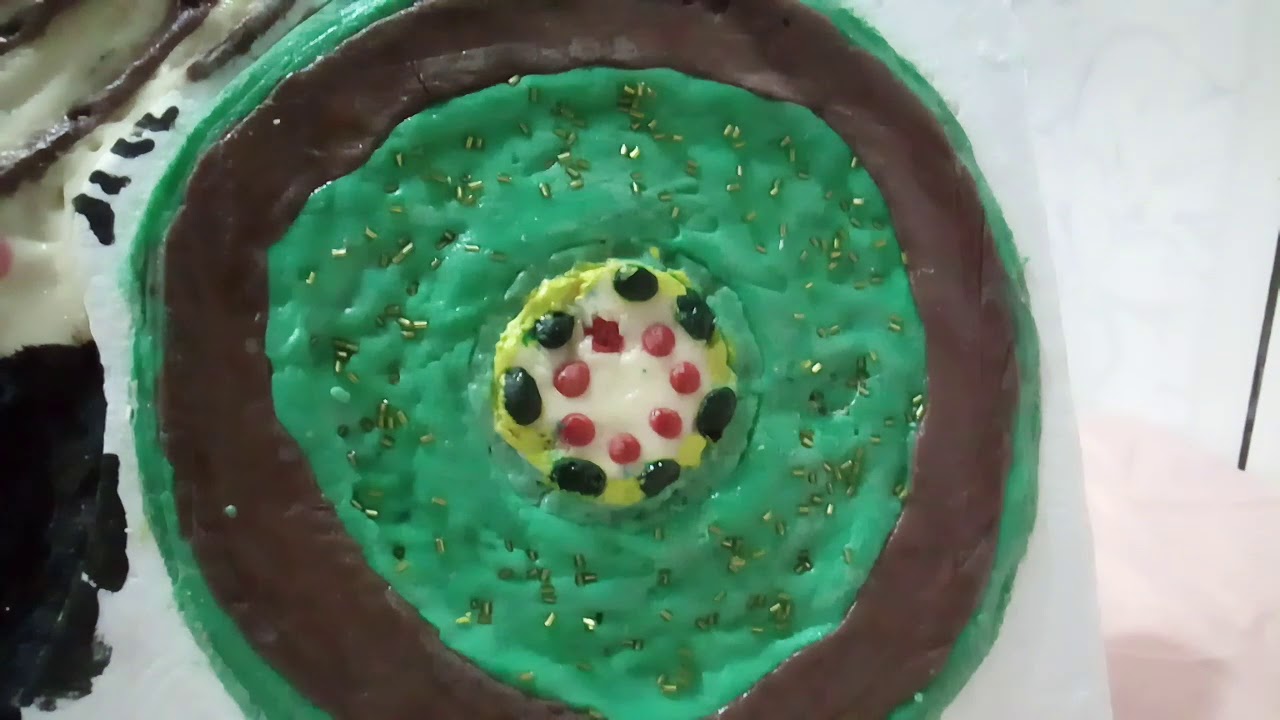 Anatomia interna da raiz do vegetal - YouTube
