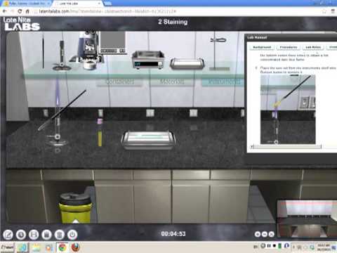 Lab 2 Tutorial - YouTube