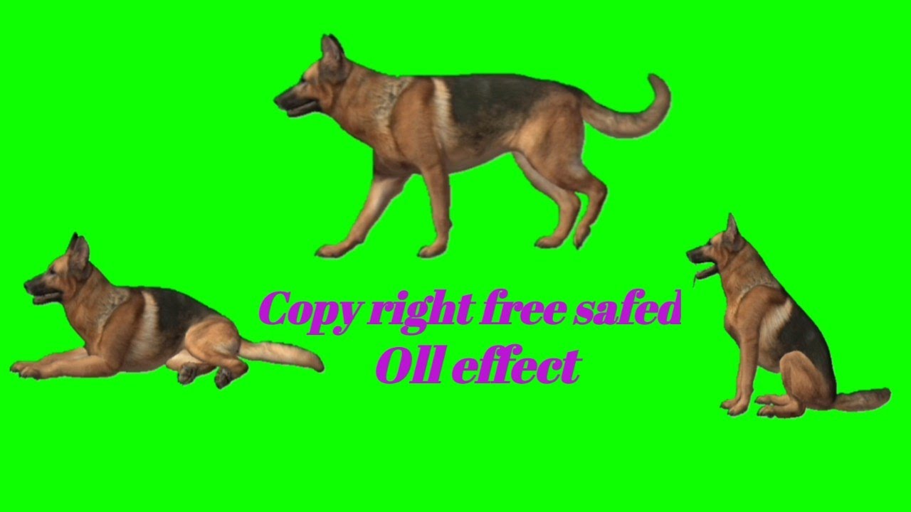 Green Screen Dog Effect - YouTube