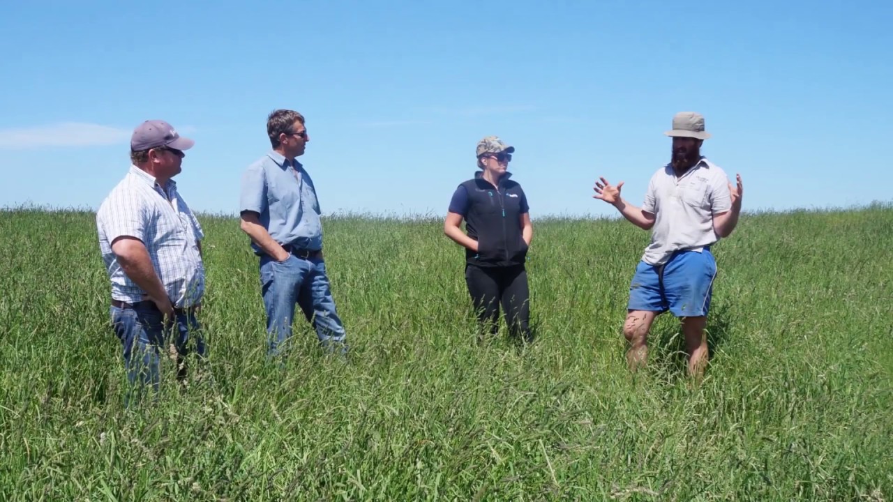 Canterbury: Craigmore Station Limited - YouTube