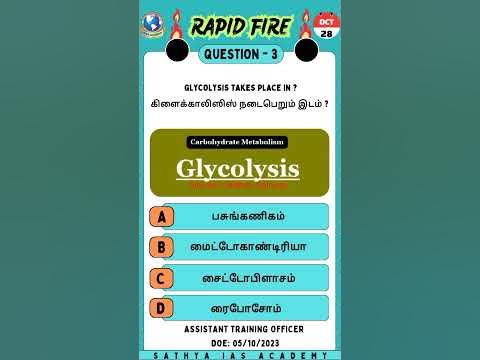 28.10.2023 - RAPID FIRE QUIZ - PREVIOUS YEAR QUESTION PAPER |#shorts ...