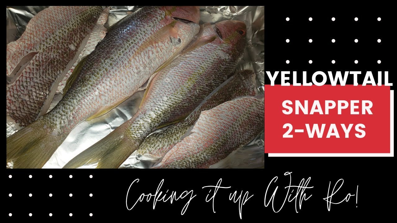 YELLOWTAIL SNAPPER ] FLORIDA 🏝 STYLE ] FRIED & BAKED - YouTube