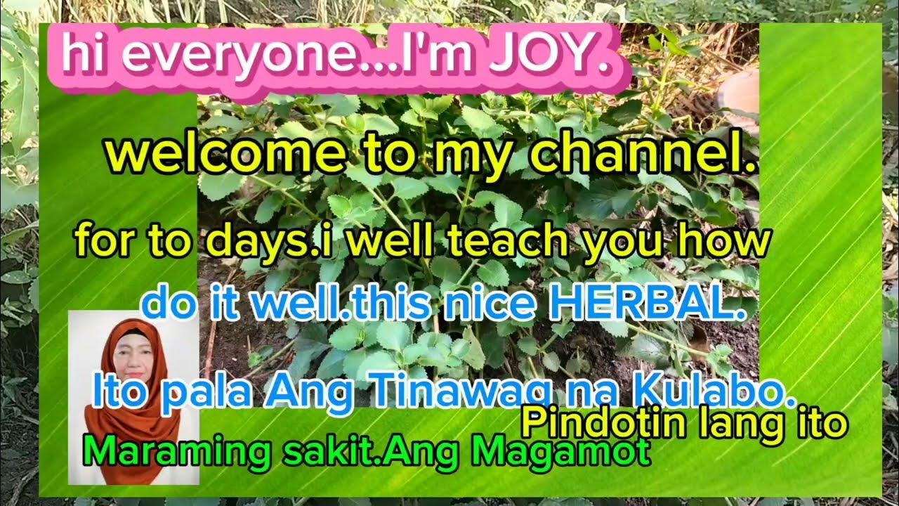 HERBAL..KULABO - YouTube
