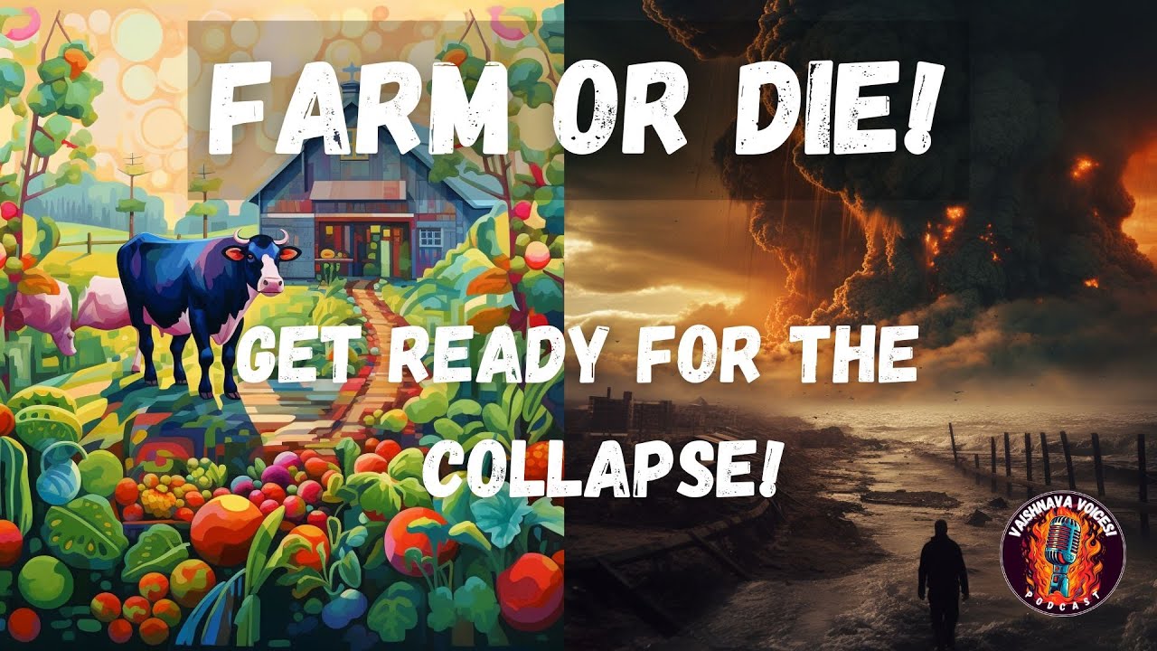 Teaser: Preparing for Economic Collapse and Beyond - YouTube
