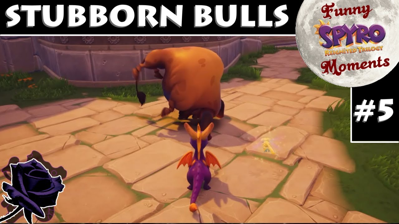 Funny Spyro Moments #5 | Stubborn Bulls - YouTube