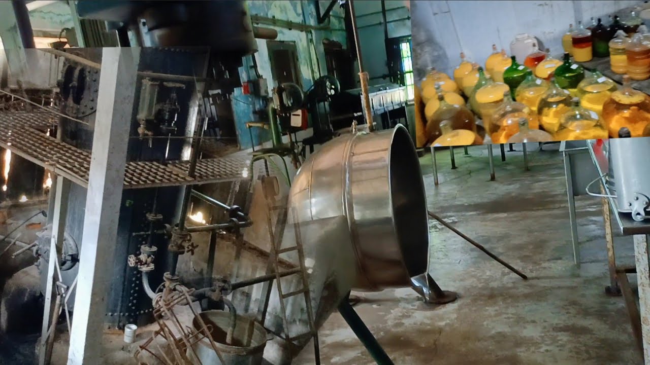 # FRUIT PROCESSING CENTER DAINADUBI Northeast# Government of Meghalaya ...