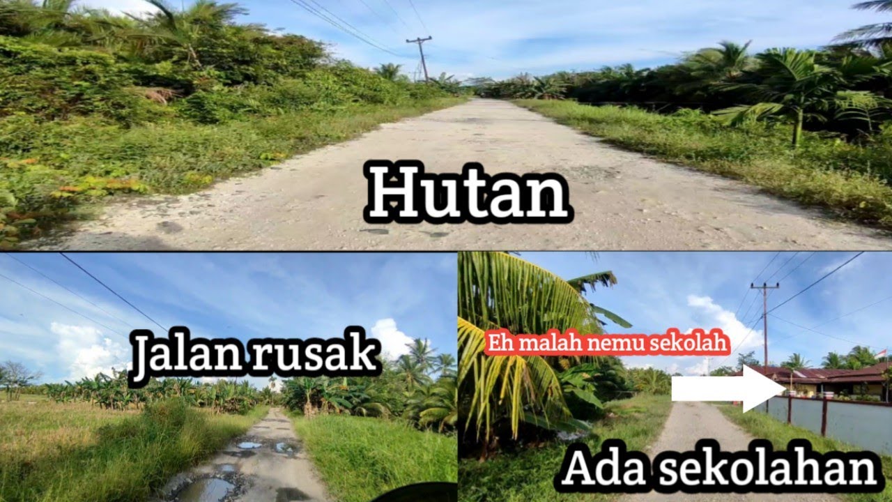 BARU TAU SETELAH NONTON INI! Suasana pedesaan di semelagi besar Kab ...