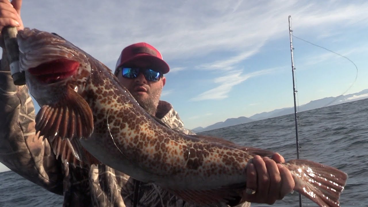 LINGCOD FISHING Vertical Jigging Vancouver Island (Part 1) - YouTube