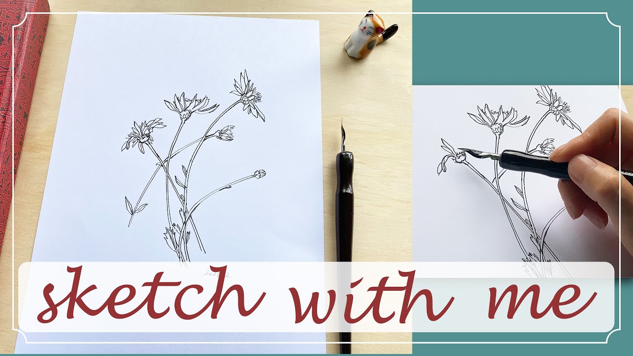 #54 Sketching a Daisy with pen | Sketch with me - YouTube