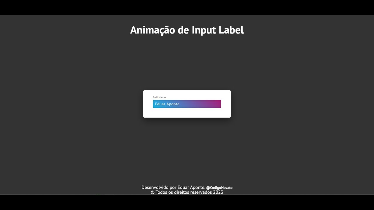 Como criar um input label com animação | Texto placeholder flutuante ...