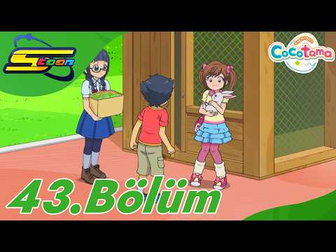 Cocotama 43. Bölüm - YENİ BÖLÜM İzle #anime