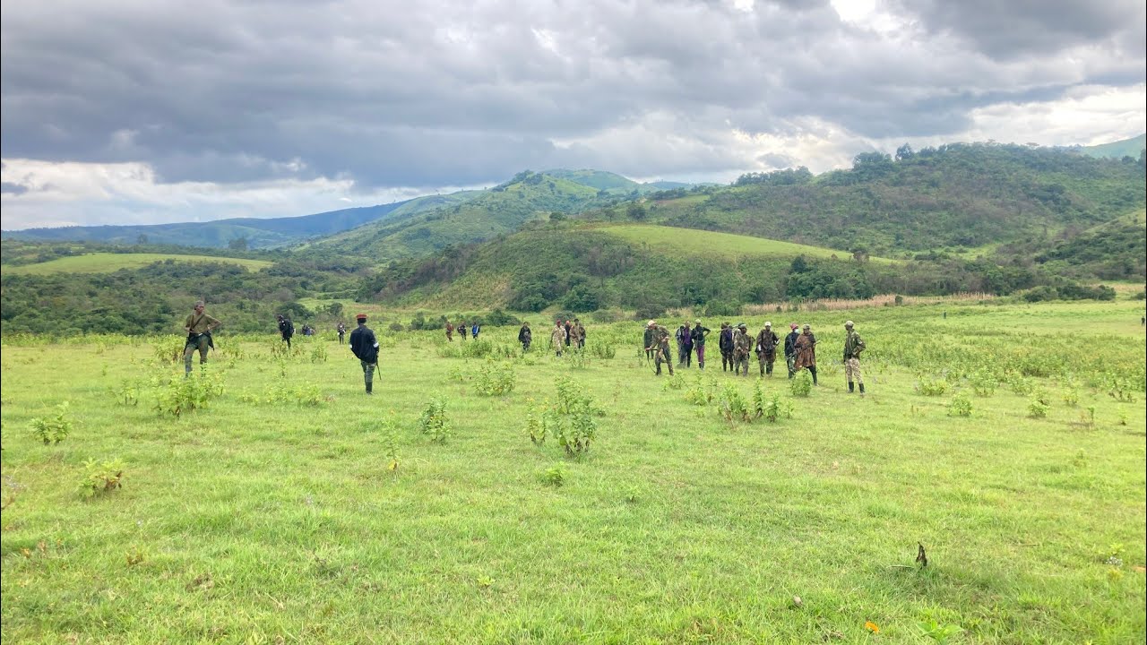 INTAMBUKO YA MADUBU MU MINEMBWE - YouTube