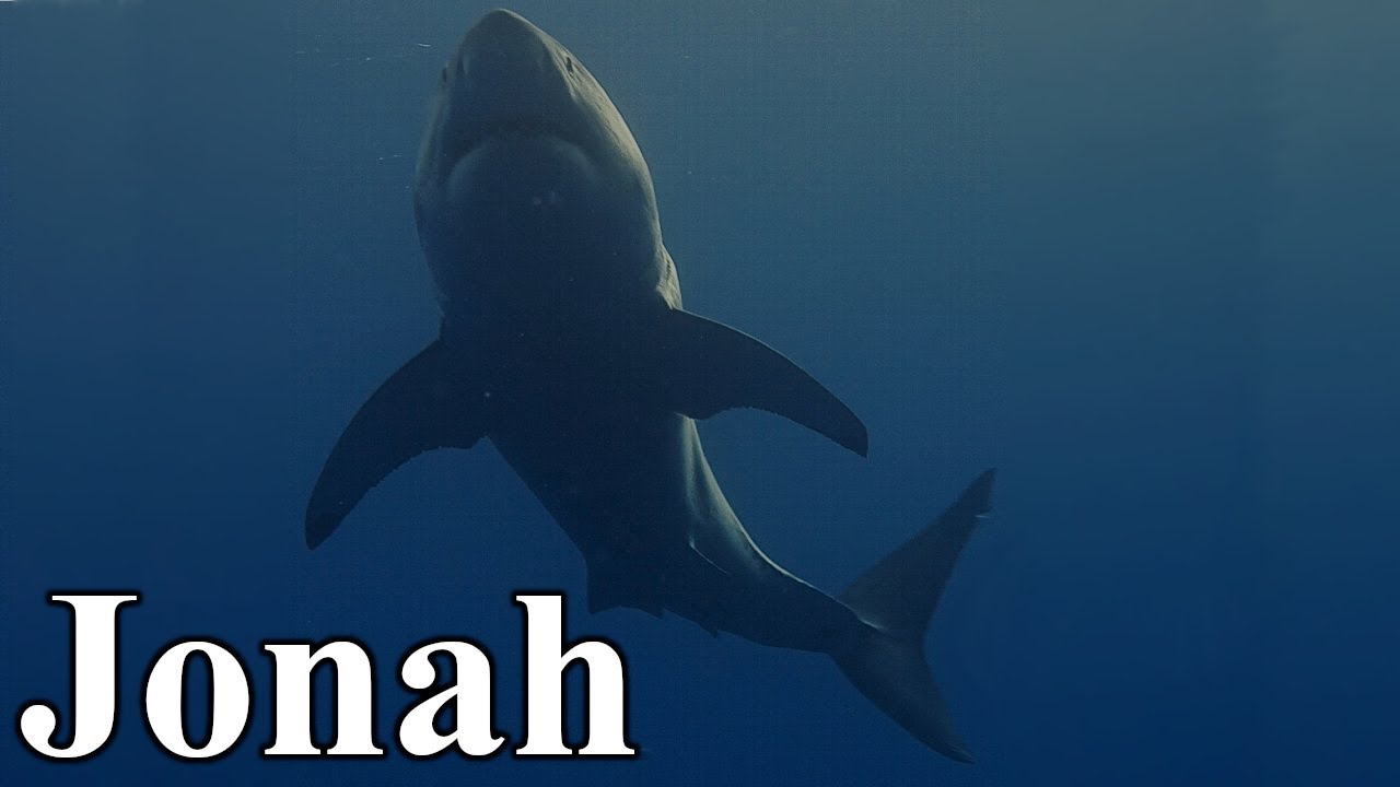 Jonah and The Great Fish: Jonah Died And Rose on the Third Day - YouTube