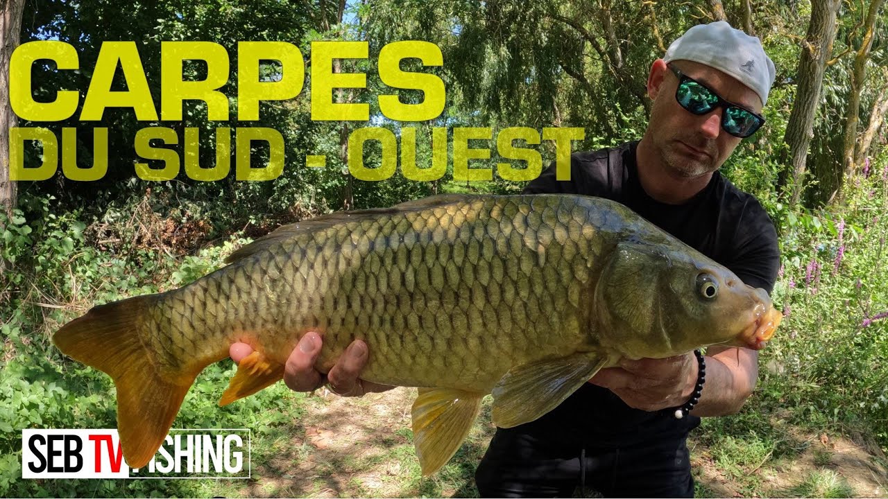 PECHE des CARPES dans le Sud-ouest !! Domaine des oiseaux - YouTube