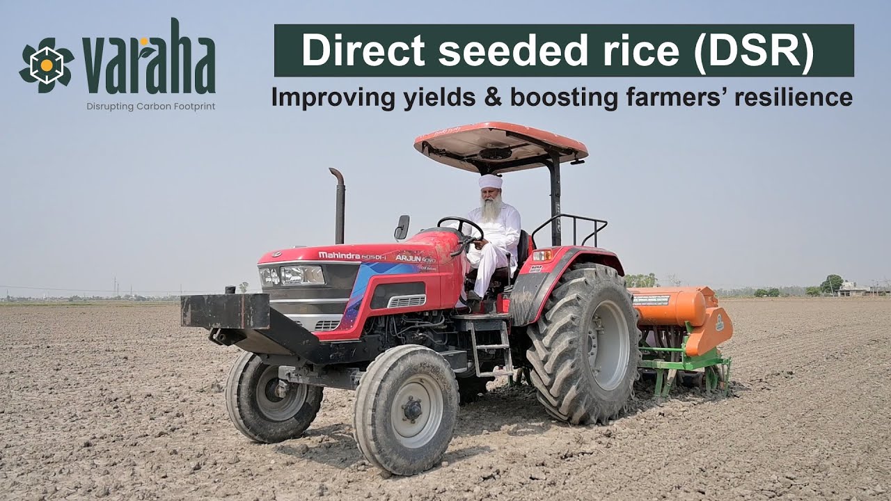 Direct seeded rice (DSR) : Improving yields & boosting farmers ...